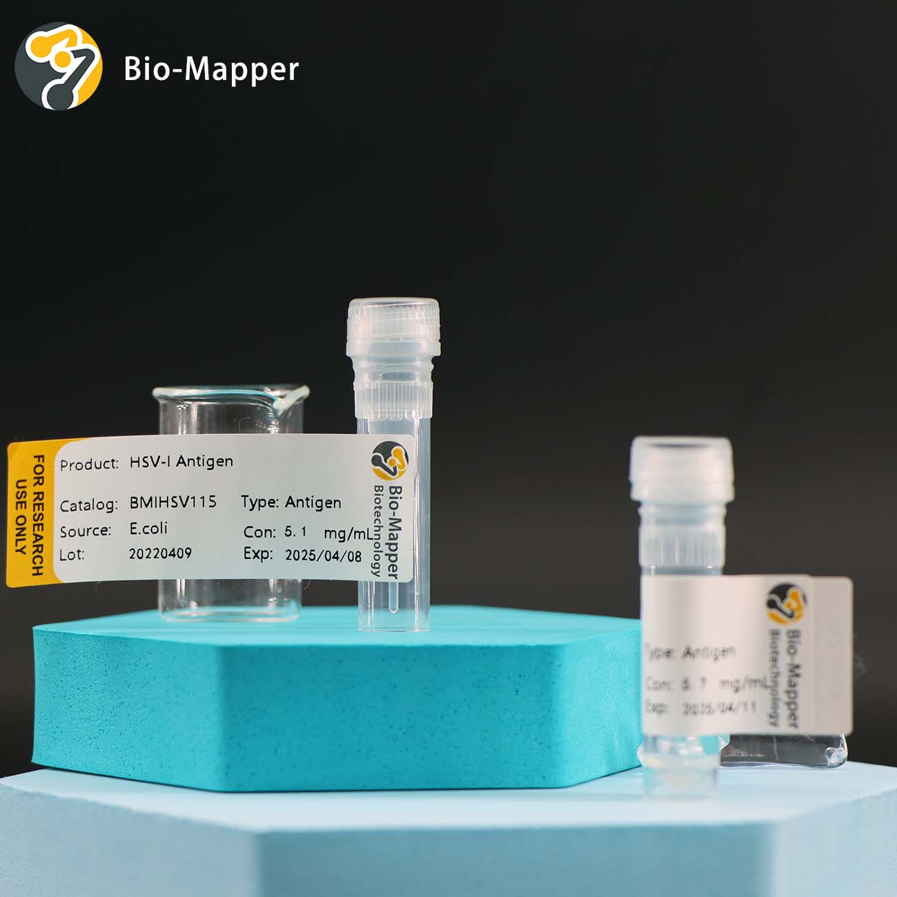 Herpes Simplex Virus-I II (HSV-I II) - Bio-mapper